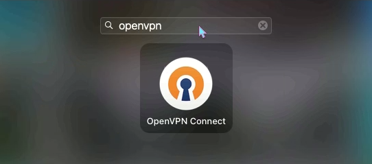 VPN